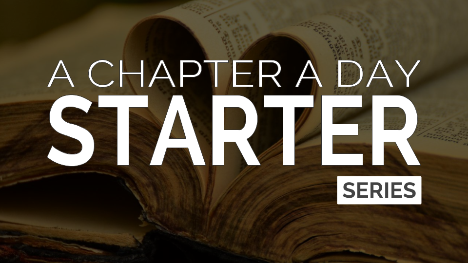 A Chapter a Day - Starter Study - pursueGOD.org